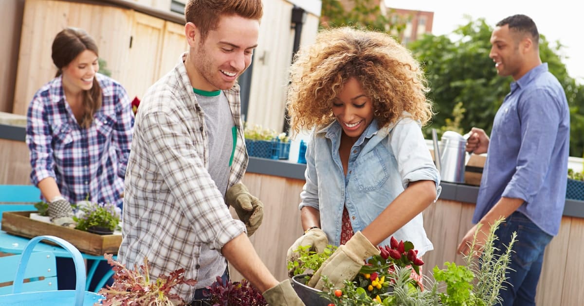 Custom First Day of Spring: Embracing Renewal and Connection in the ...